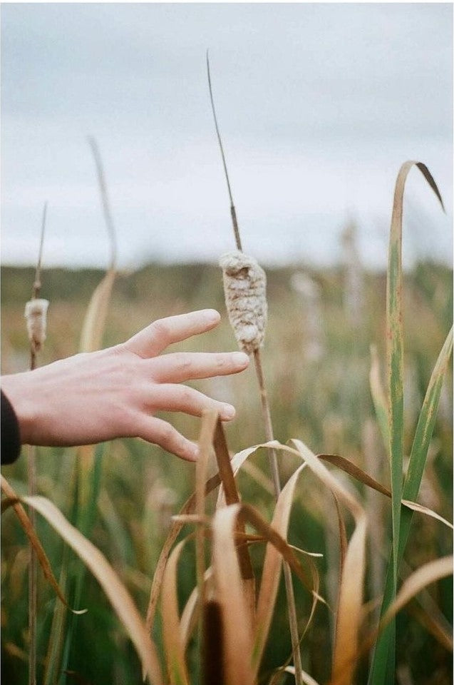 Emily Porter – Scout Gallery